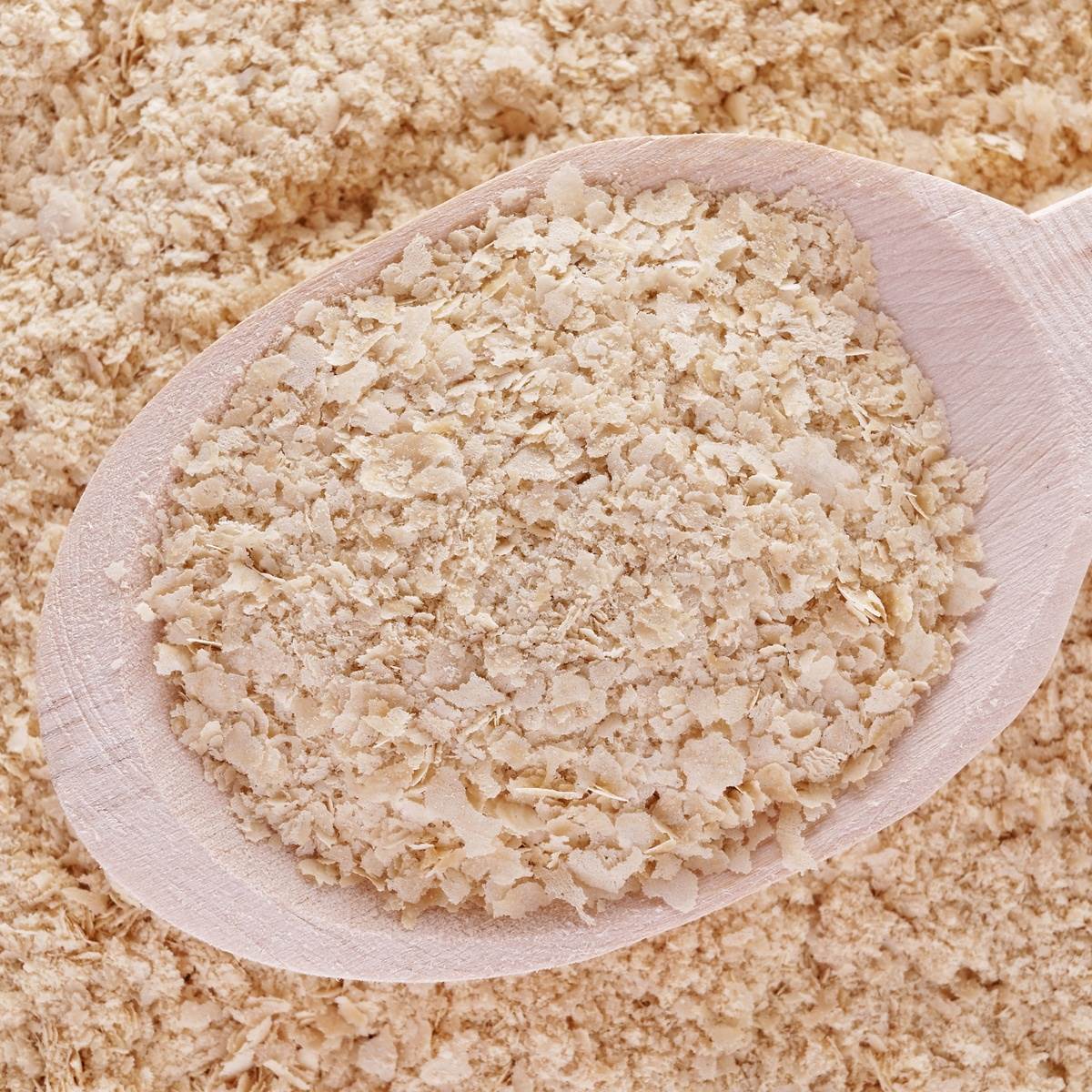 Levure de Bière Poudre Inactive - Saccharomyces Cerevisiae