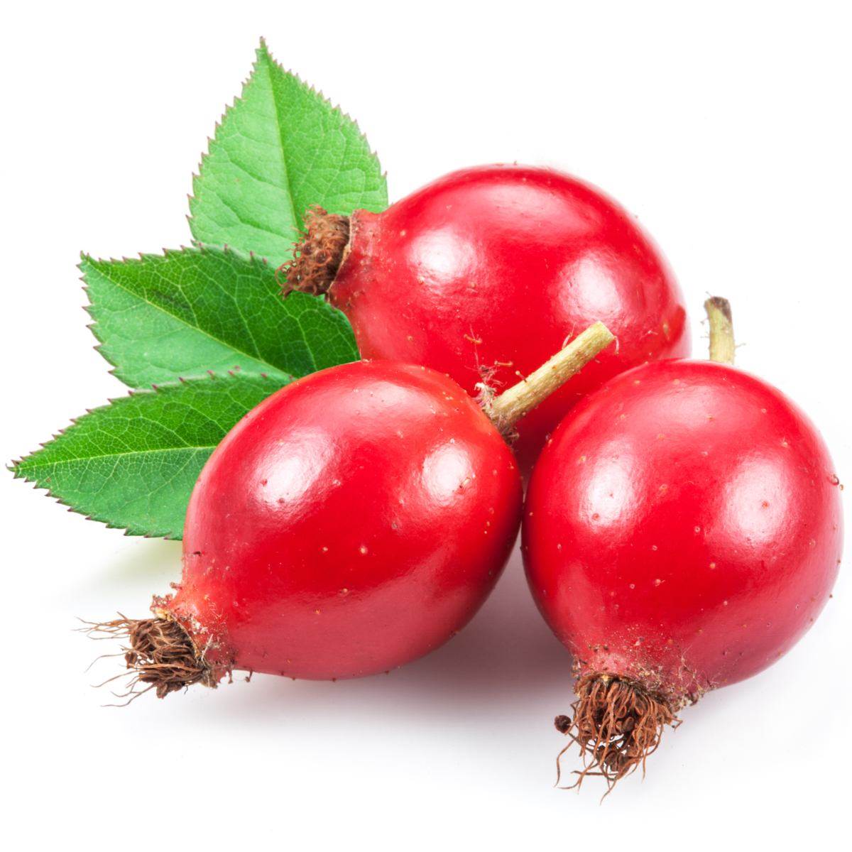 BIO Eglantier Fruit Entier - Rosa Canina L.